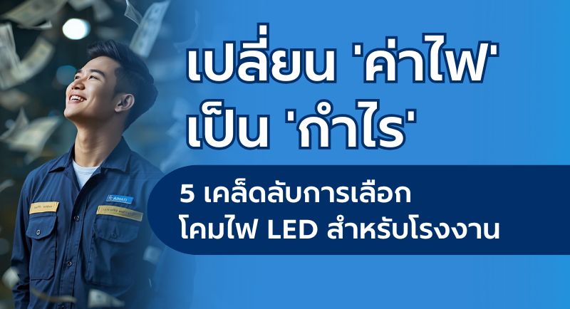 Rawee Lighting จำหน่ายผลิตภัณฑ์แสงสว่างคุณภาพสูง ครบวงจร